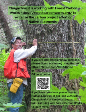 Chugachmiut is working with Forest Carbon Works to revitalize the ...